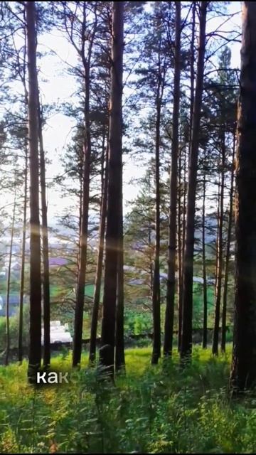 🌈Сколько бы мудрых слов ты ни прочёл, ни произнёс, какой от них толк, коль не применяешь на деле?