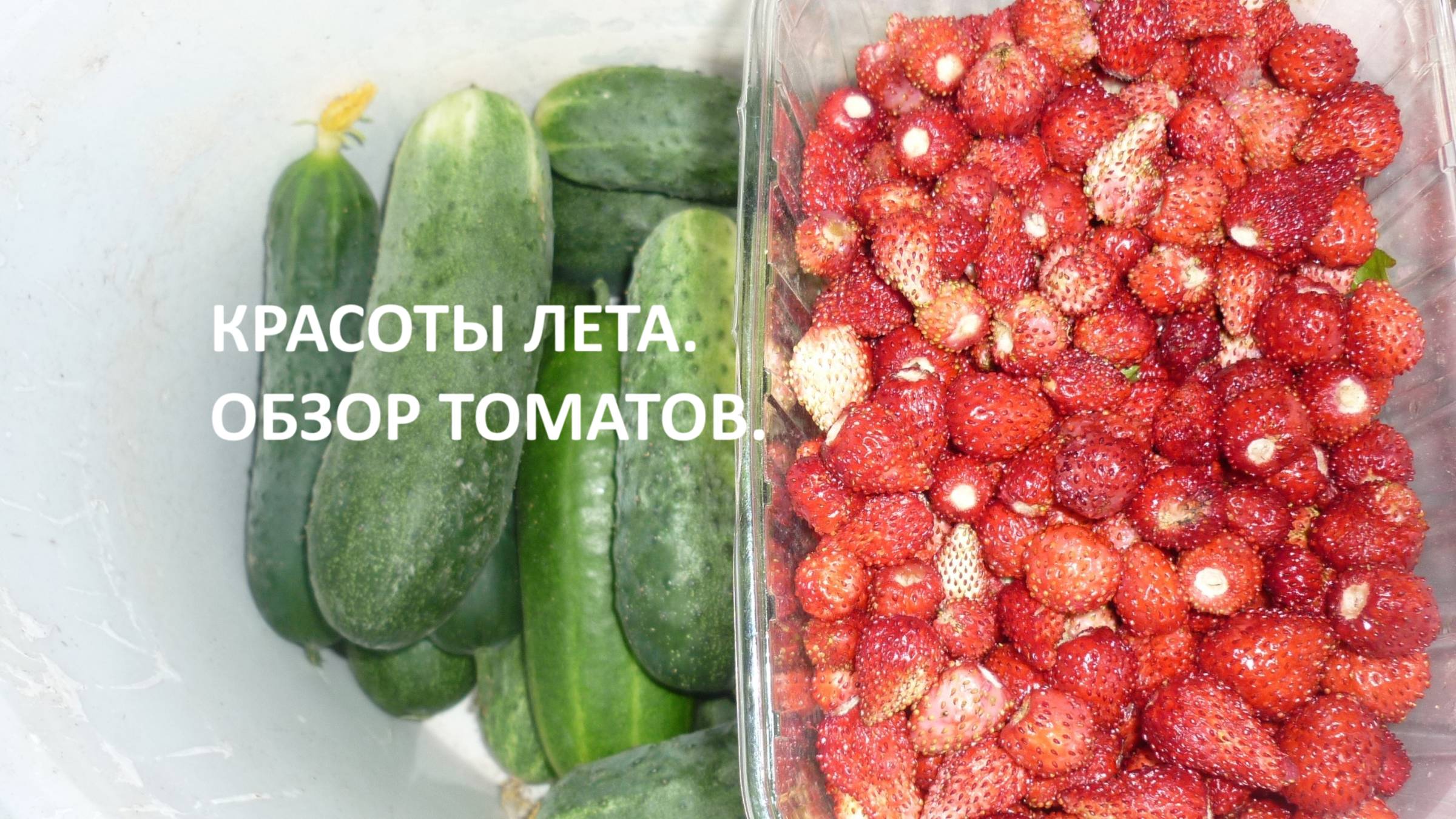 Лето радует красотой: мой цветник, пасека, обзор томатной теплицы по сортам.