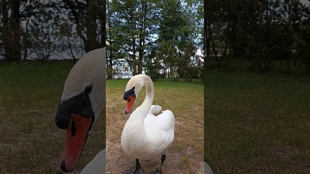 Турбаза Виштынец, Калининградская область