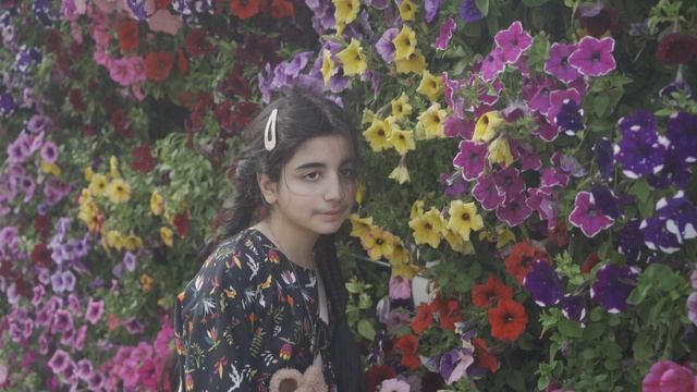 Московские ярмарки июнь 25г.