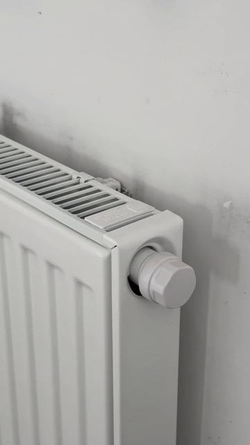 White Box в Доме на Окружном