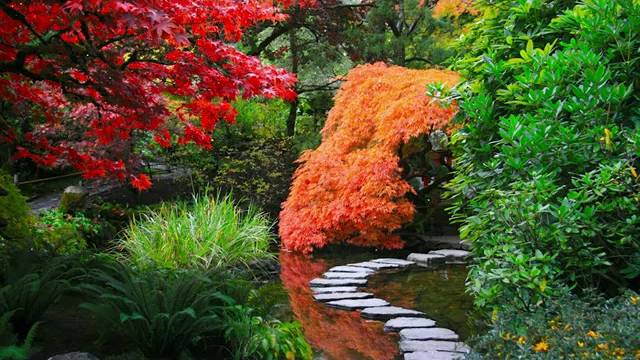 Расслабляющая музыка для медитации и снятия стресса