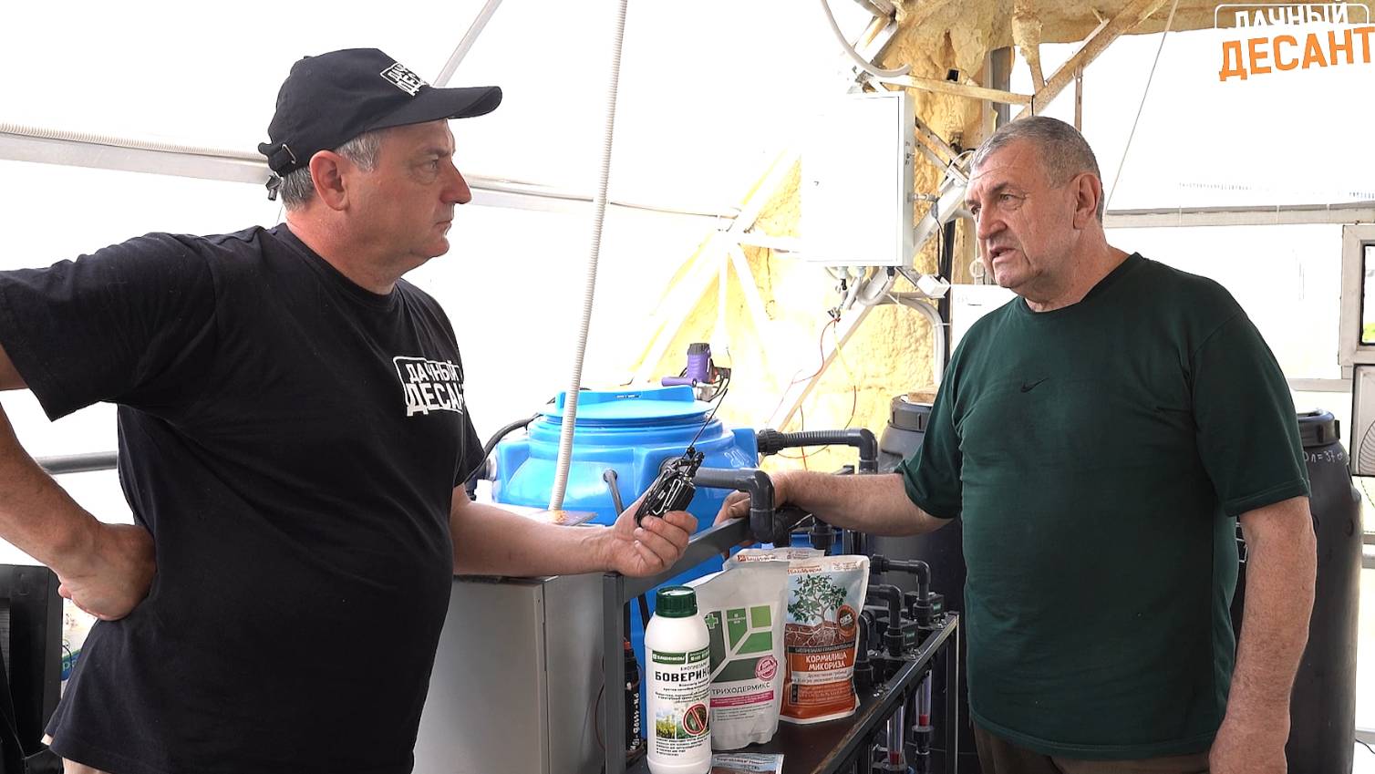 Камчатский «Дачный десант» от 25 июня 2025 г. - грибы помогут в борьбе с клещами!