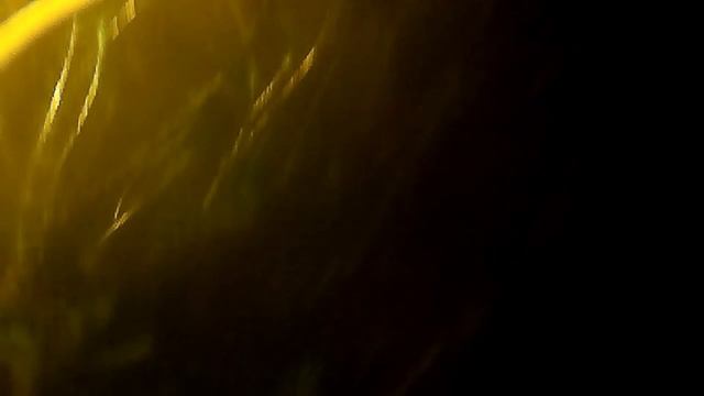 Ночные стражи