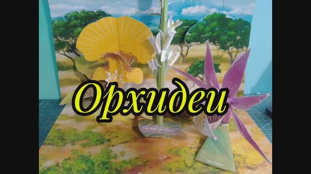 Орхидеи из бумаги своими руками.