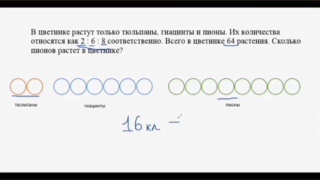 Текстовая задача по математике. ВПР 8 класс. В цветнике растут только тюльпаны, гиацинты и пионы.