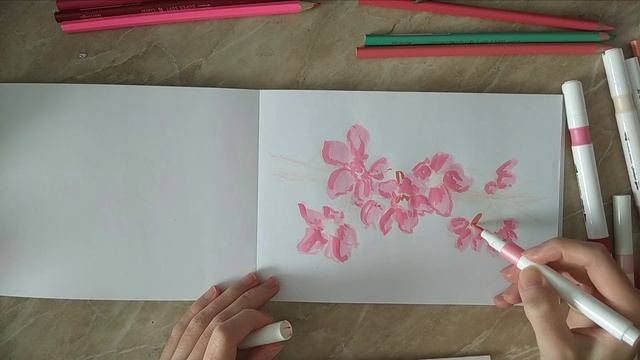 Как нарисовать сакуру акриловыми маркерами и подписать красивой каллиграфической надписью full vide