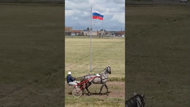 Троицк. 21.06.25