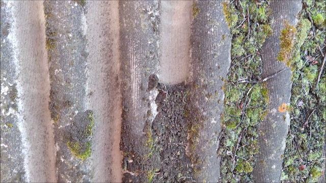 Восстановление старого шифера СССР