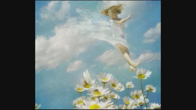 Игра в птиц. Тим Собакин.