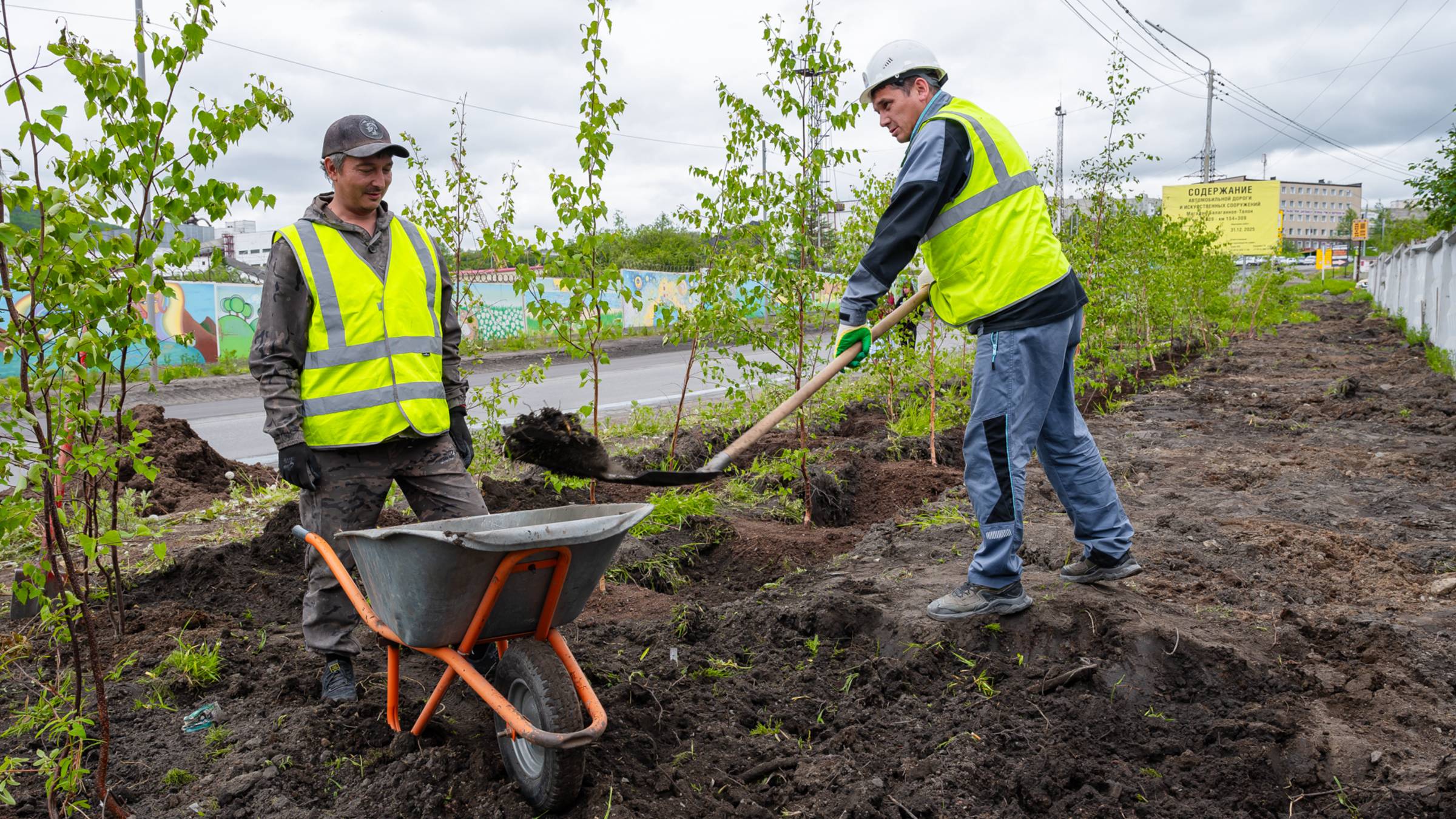 На улице Речной, близ здания «Магаданэнергосбыта» пустырь превратился в аллею