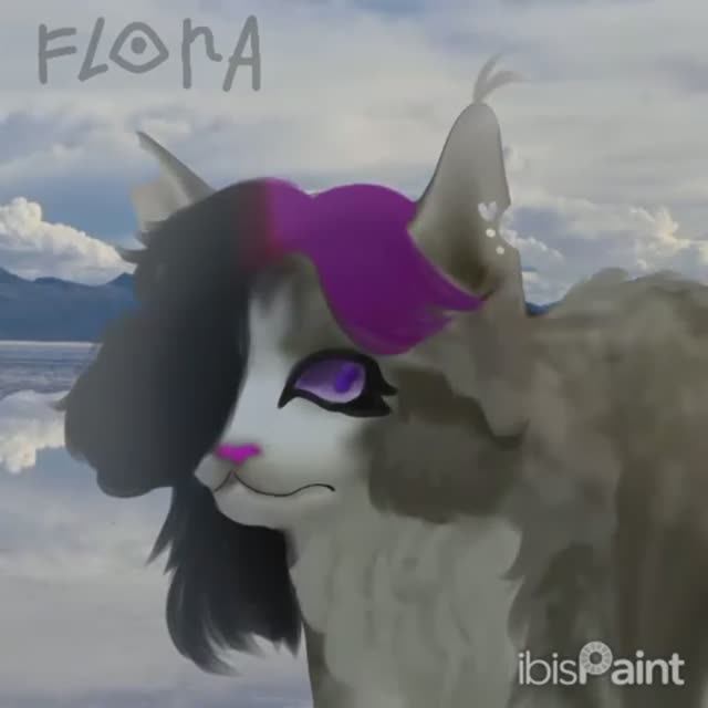 обработка кет сим🌪