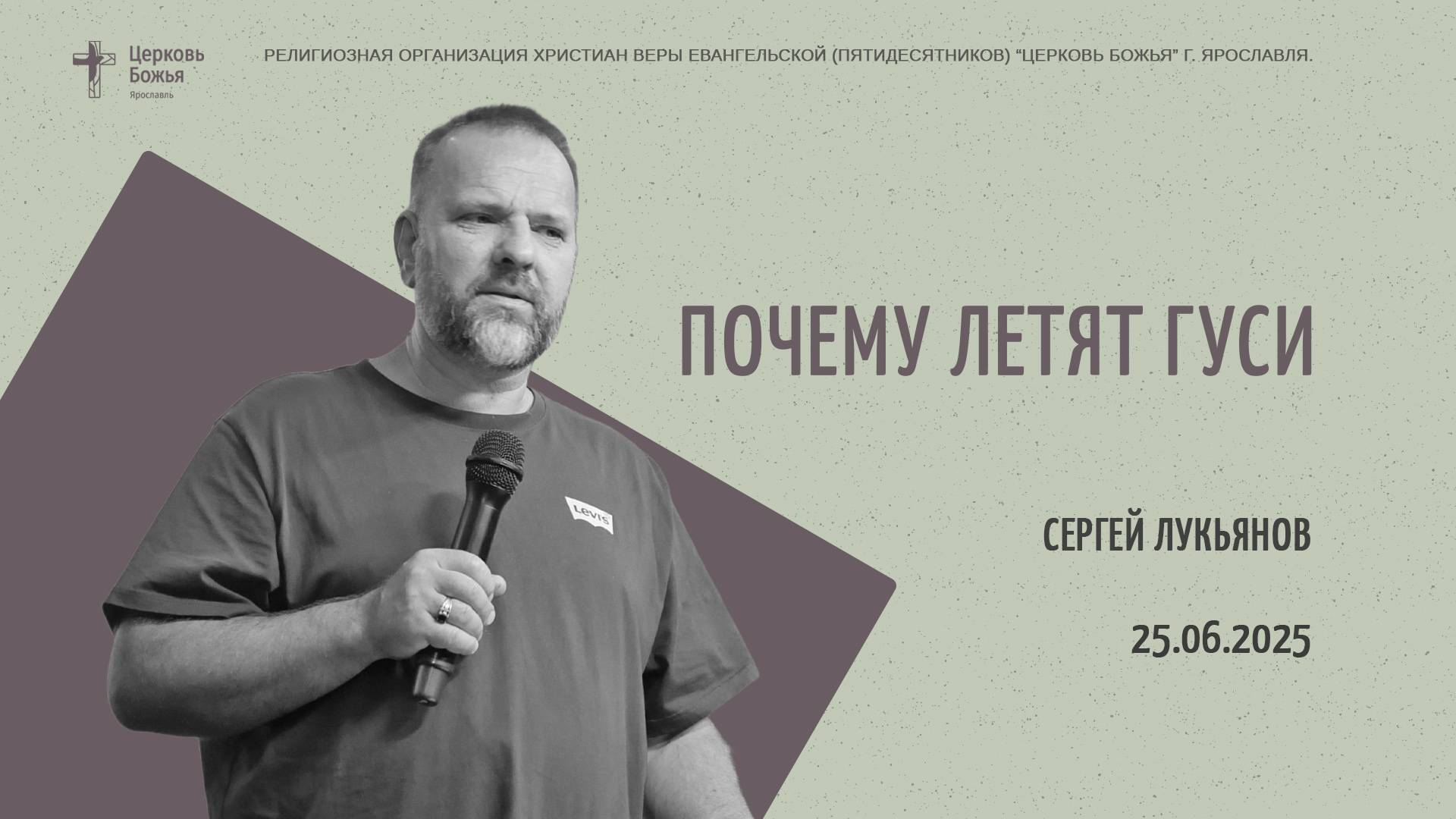 "Почему летят гуси" - Сергей Лукьянов - 25.06.2025