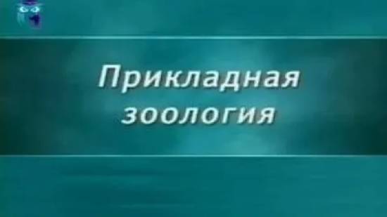 Зоология # 2.9. Млекопитающие - вершина эволюции позвоночных