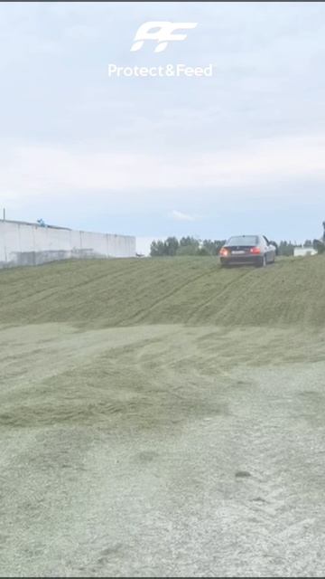 😮 А вы знали, что трамбовку сенажа можно проверить вот так?