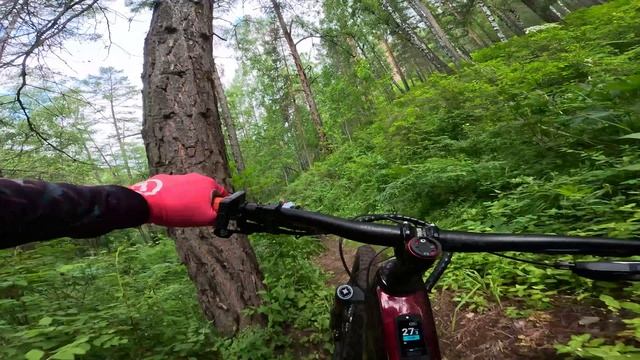 Трейл Колла, Красноярск