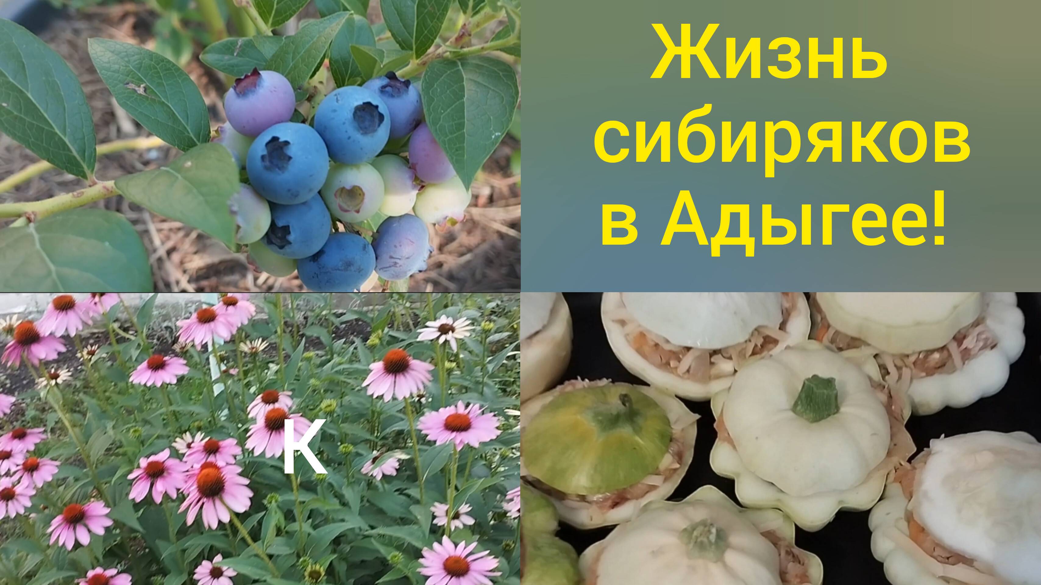 Вторые блюда.