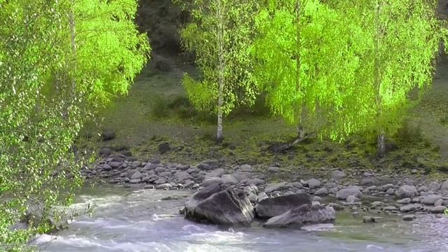 Настрой академика Сытина Г Н Полное восстановление здоровья поясницы, тазобедренных суставов, ног -