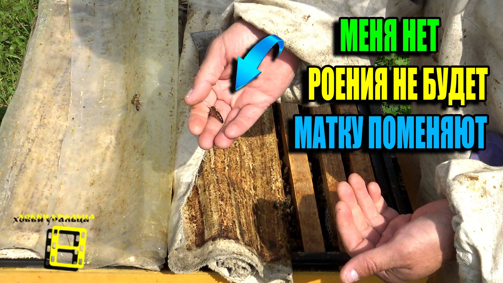 КАК 100% ПОМЕНЯТЬ МАТОК В ОТСУТСТВИИ ПЧЕЛОВОДА БЕЗ РОЕНИЯ? ПЧЕЛОВОДСТВО 25-24