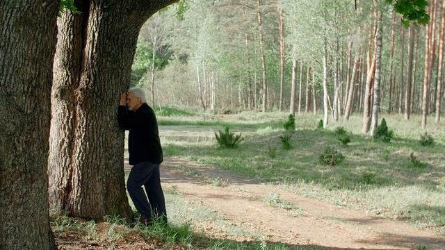 Что мы знаем о боли?