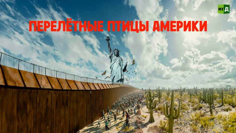 Перелётные птицы Америки