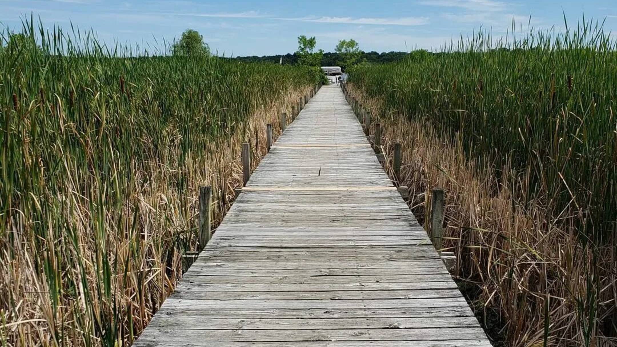 15 Пусть начнется все сначала