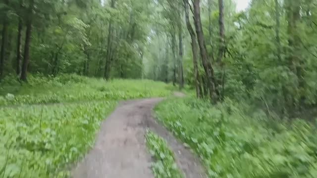 Подмосковный лес на велосипеде с неожиданным финалом