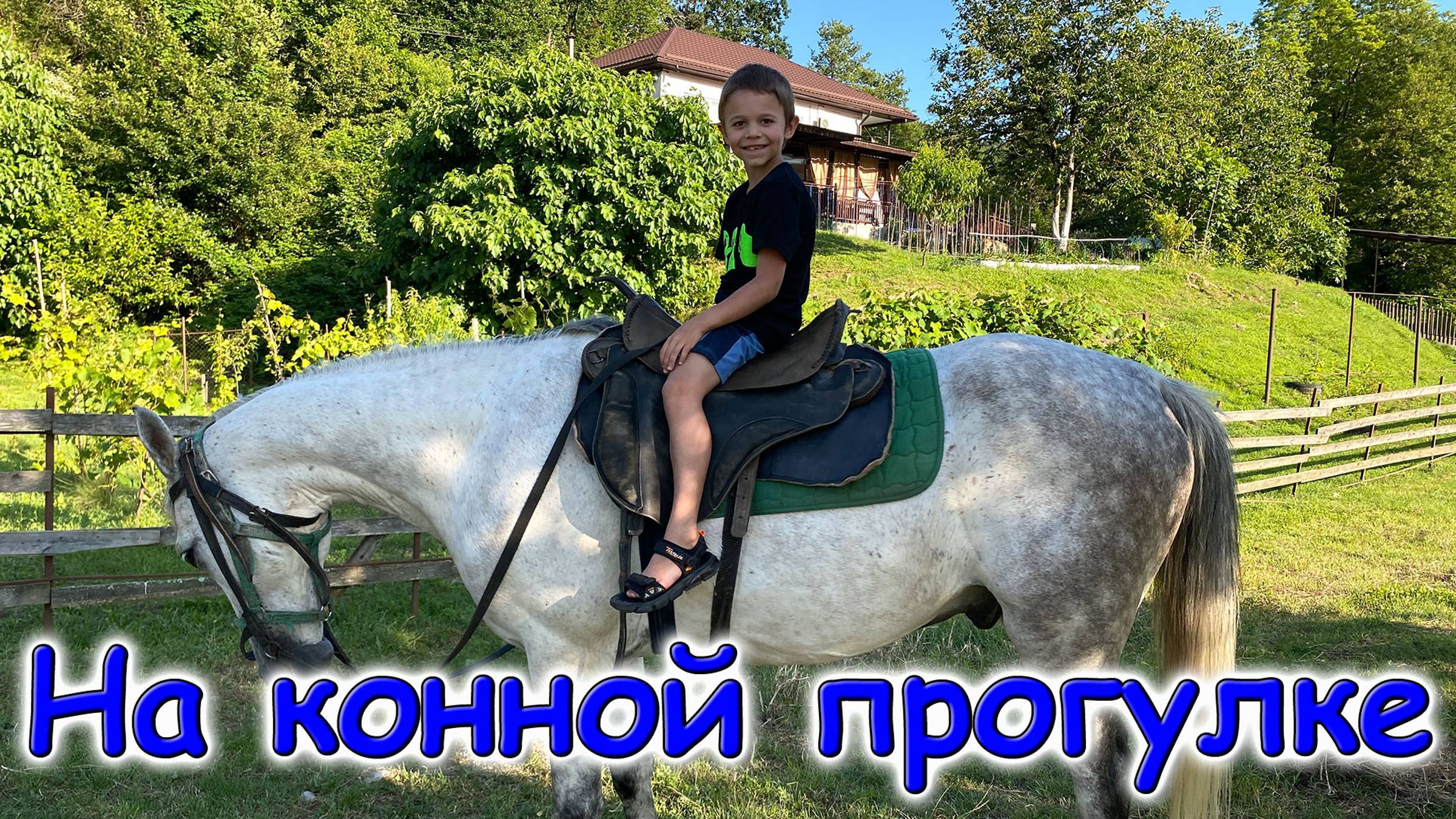 Москва, Сочи 2025. Конная прогулка на конюшне Шагби. Головинка. Сочи. (06.25г.) Семья Бровченко.