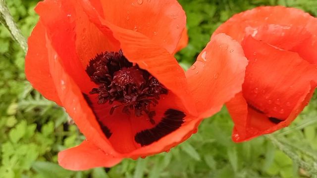 Красота в мелочах.😉