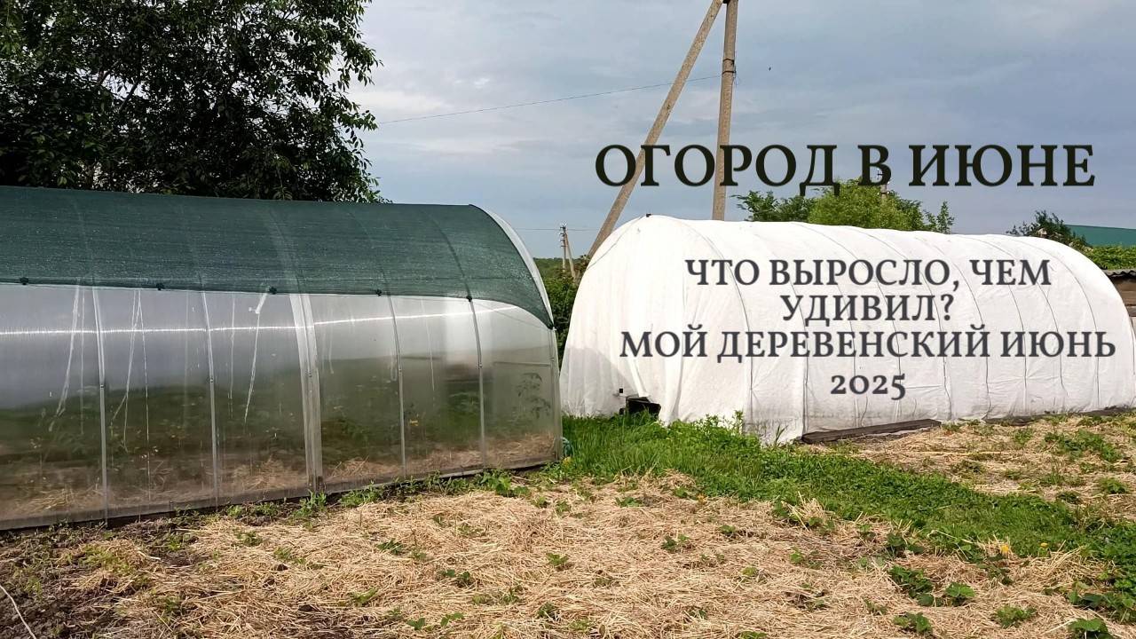 ОГОРОД в ИЮНЕ 🌿 Что выросло, чем удивил? Мой деревенский июнь 2025