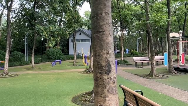 Прекрасная прогулка по парку лето и супер настроение природа Китай красиво парки и азия рутуб