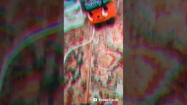 милый котик 3 серия 4 сезона