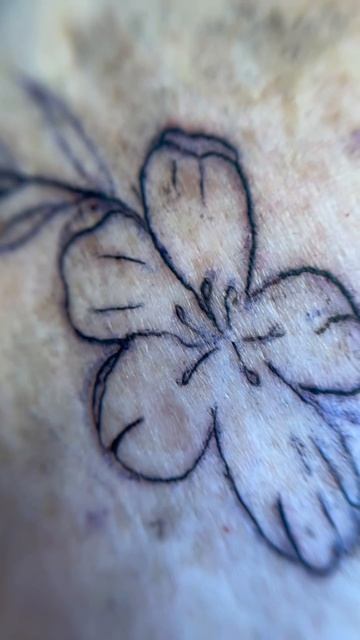 Обучение тату: вторая татуировка ученицы в студии Delicate lines tattoo