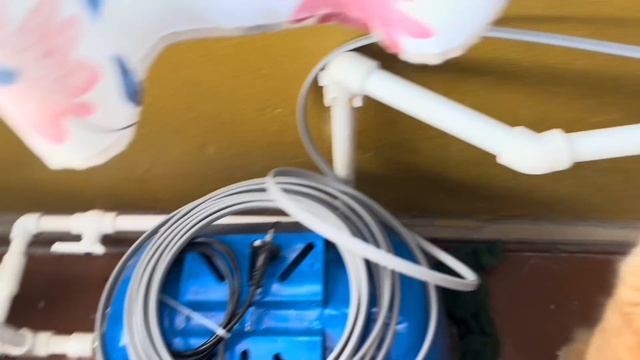 Из города в деревню — почему я не сделала этого раньше!