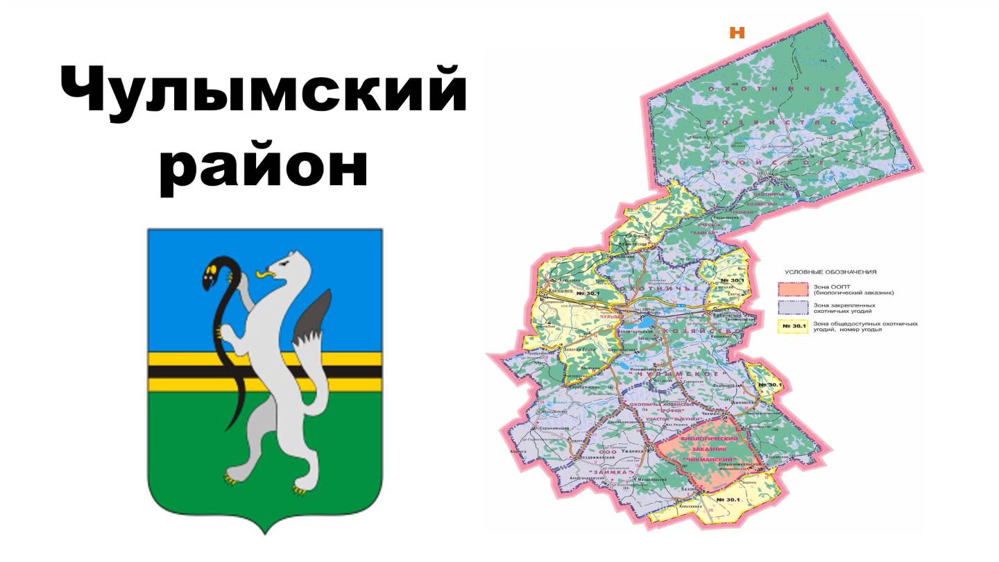 Чулымский район 7 Б класс, Галяпина Л.Г