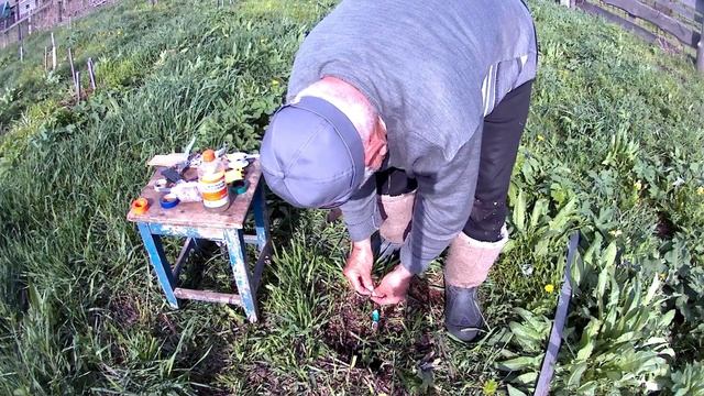 Прививку перепрививку завершил продолжу в августе месяце