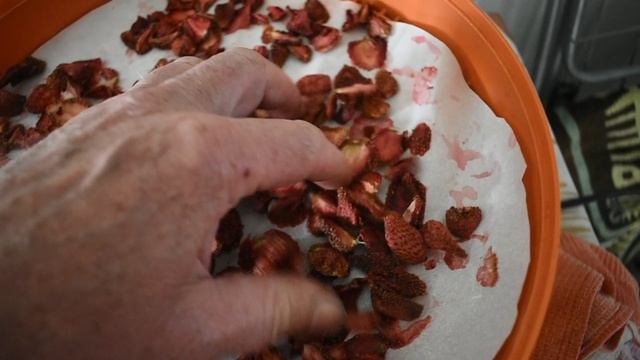 Заготовка клубники на зиму