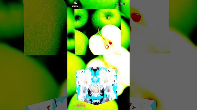 Жахил чикса акл кетади😂😢🤕