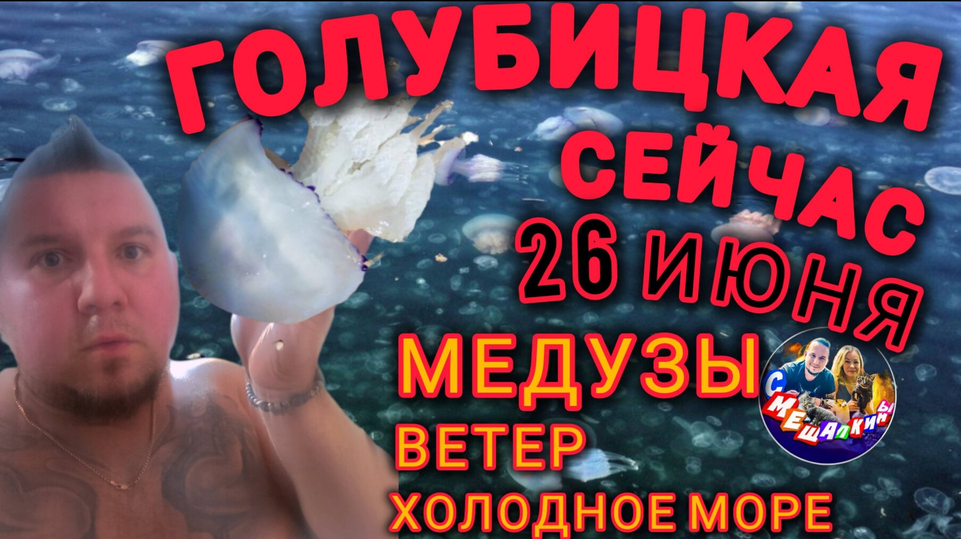 😭ГОЛУБИЦКАЯ😭УЖЕ МЕДУЗЫ😔26 ИЮНЯ😐Море холодное,медузы,дождь и ветер😱 #голубицкая #море