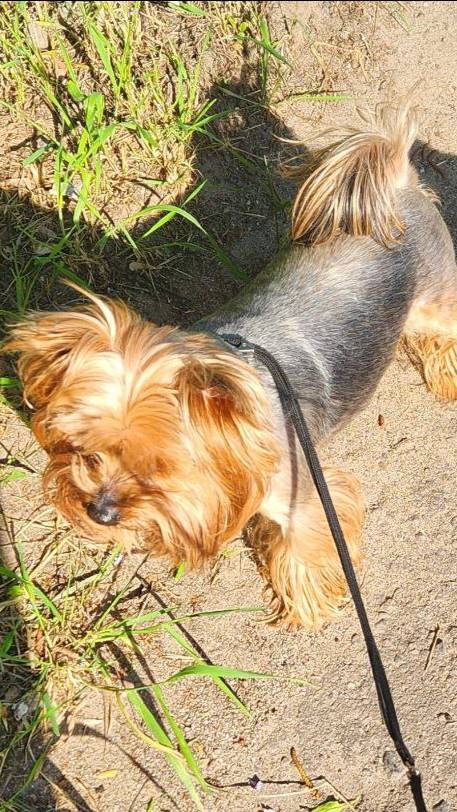 Долли играет с новой подружкой