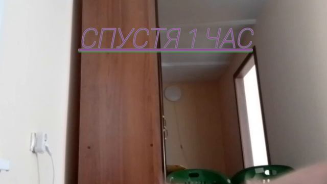 #Самое тупое видио#live