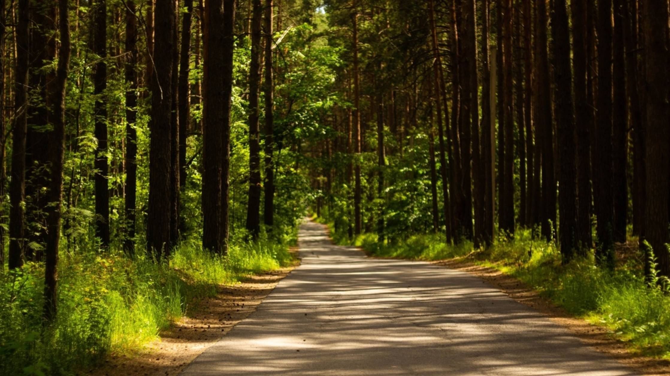 04 Предназначенный путь