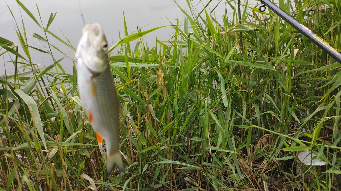 1 серия.Сутки на рыбалке .