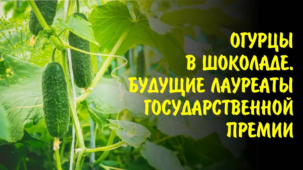 Волшебство своими руками, юные фермеры!