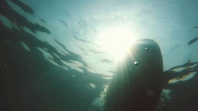 Каяк байдарка Hydro-Force Koracle