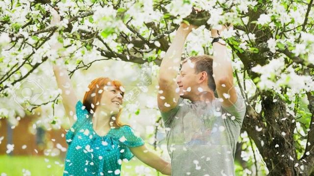 Соловьи и вишнёвая метель  Музыка и вокал Александра Смирнова, Стихи Е. Дубковой