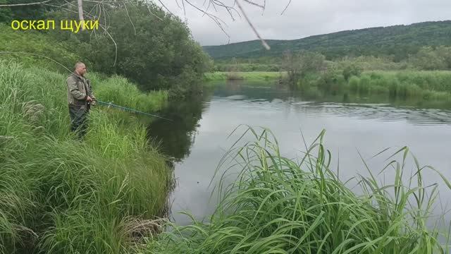 Рыбалка на горбушу спиннингом. Приманка тасманский дьявол.
