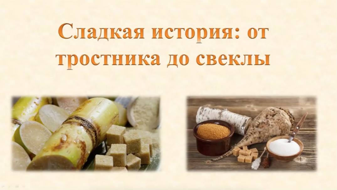Интересный факт: «История появления сахара»