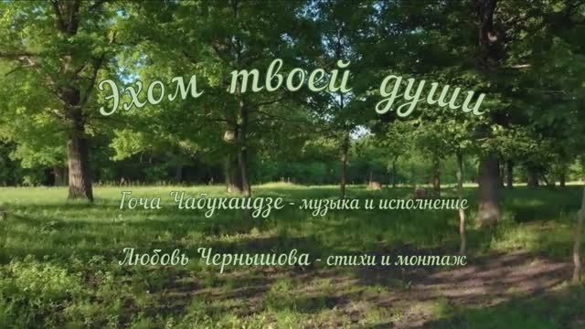 Эхом твоей души 3. Гоча Чабукаидзе -- музыка и исполнение, Любовь Чернышова - стихи и монтаж