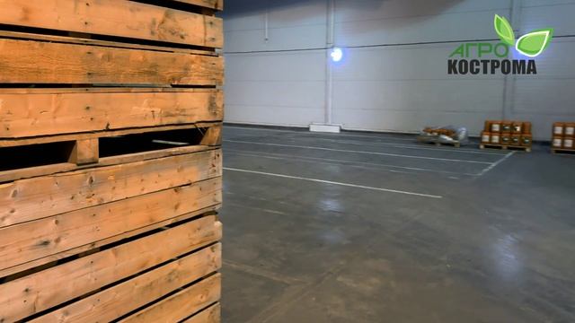 Картофельный гигант КДВ-Агро: интервью с Виктором Бескороваевым (Часть 1)